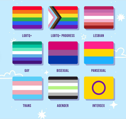 In Honor of Pride Month – A Little History… – NASCSP